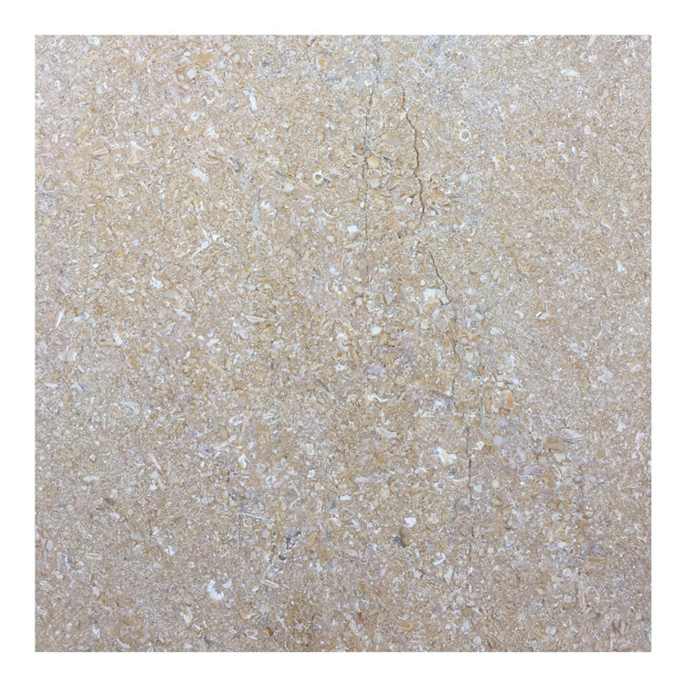 Martin Ambré Limestone | CompasStone.com